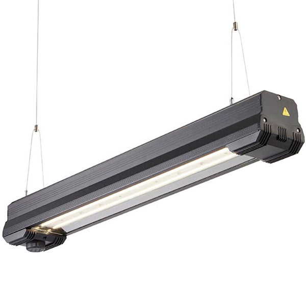 Cold Storage Lights, Buy Online from Right Light