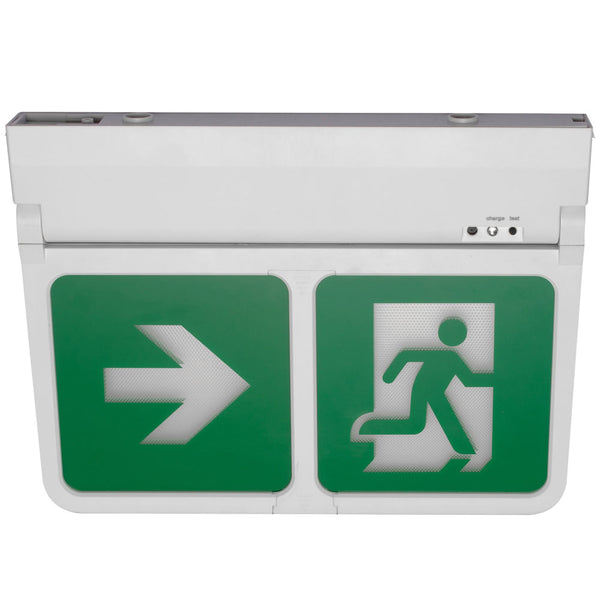 Emergency Led Exterior Downlight
