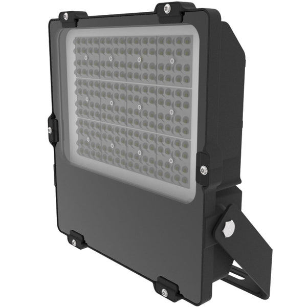 95 Watt Asymmetric Professional LED Floodlight (IP66)